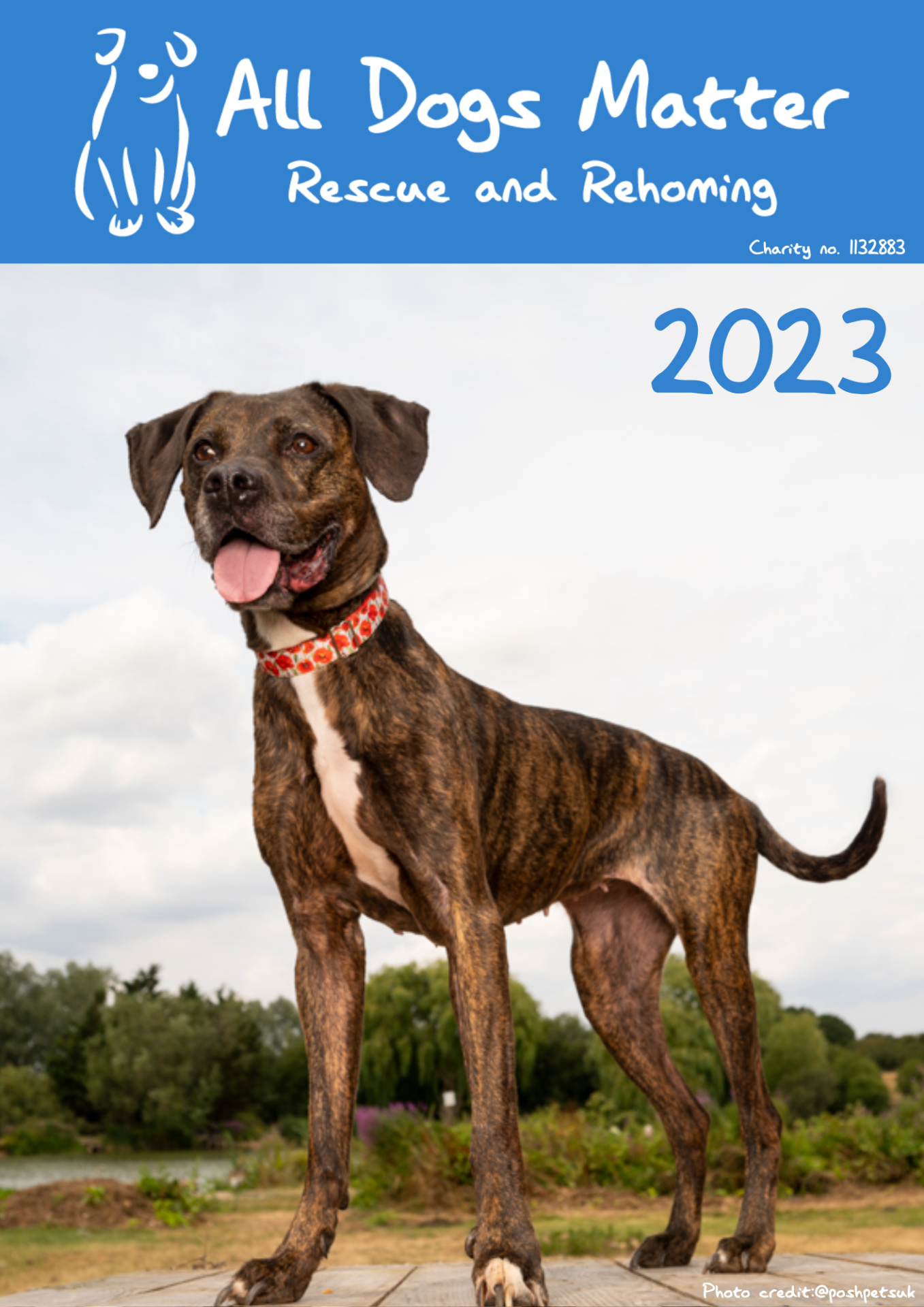 All Dogs Matter | Products