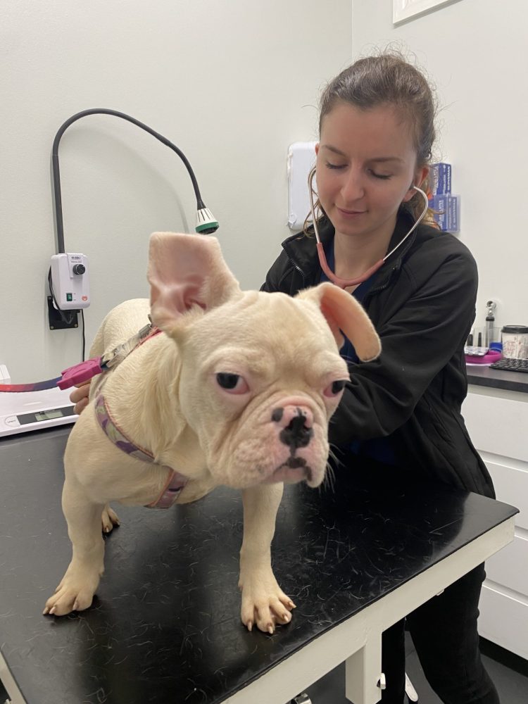 All Dogs Matter | Rinty